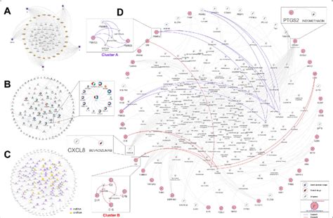 Integrative Networks Analysis Of Sars Cov 2 Infected Cells A Viral Download Scientific Diagram
