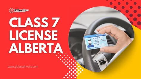 How To Get Class 7 License Alberta A Beginners Guide 2024
