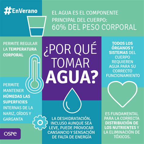 Silenciosamente Granjero Costoso Cual Es La Importancia De Tomar Agua