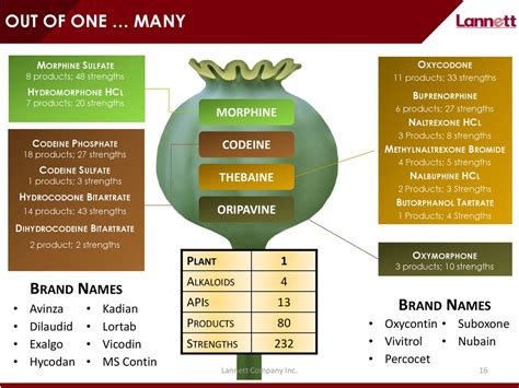 Arthur Bedrosian Ceo ∙ Marty Galvan Cfo Ppt Download