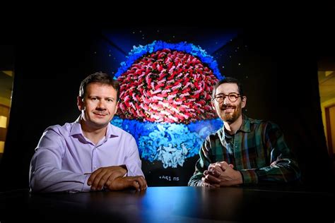 Multiresolution Dna Simulation In Viral Genome Packaging