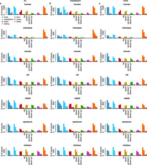 Frequencies Of The Four Main Developmental Cassette Exon Usage Patterns