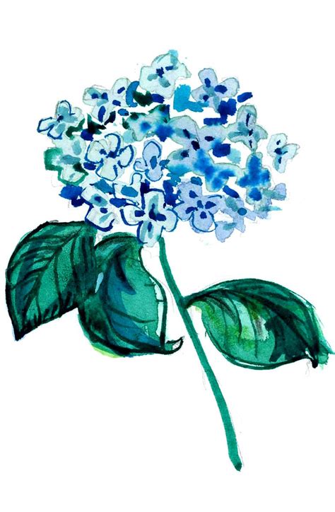 Hydrangea Print Wrapping Paper Christmas Holiday Birthday Etsy