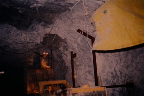 Checking Survey Line Unknown C 1995 Bmhc18119 Ehive