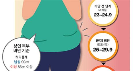 만성질환 부르는 중년 뱃살 규칙적 식사·운동으로 빼야