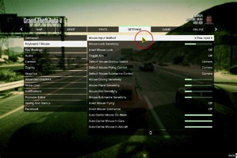 Custom In Game Mouse Cursors Gta5