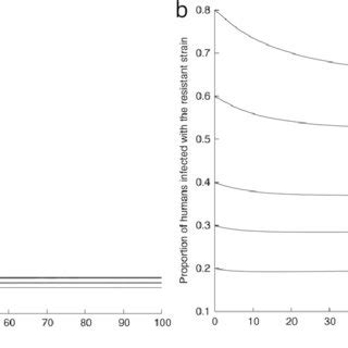 Simulations Of Model 9 The Figures Depict The Temporal Course Of The