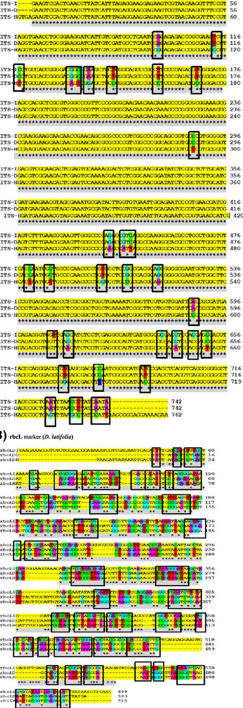 Multiple Sequence Alignment Screening Single Nucleotide Polymorphism