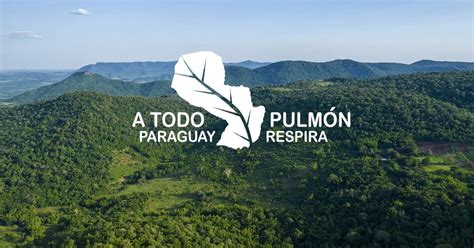 A Todo Pulmón Invita A Su Cena Anual De Recaudación De Fondos 2024
