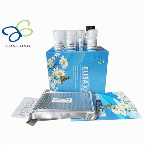 인간 항 인간 융모 성 성선 자극 호르몬 Hcg Igmelisa 키트