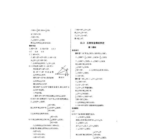 2020年秋长江全能学案八年级上册数学同步练习册人教版参考答案文档之家