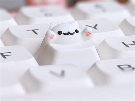 Bongo Cat Meme In My Keyboard R Bongocat