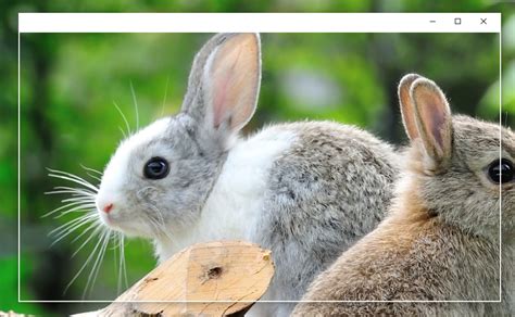 Windows Terminal Closes Several Seconds After Opening Issue Microsoft Terminal Github