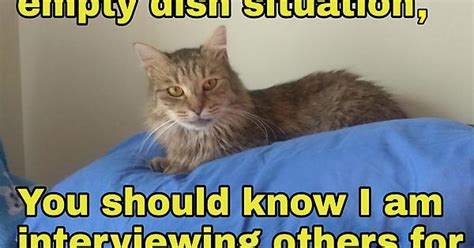 Purrincess Twinity Is Taking Applications Album On Imgur