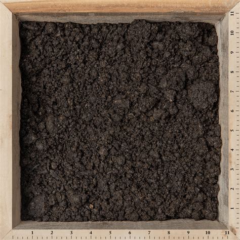 Composted Manure Merrifield Garden Center