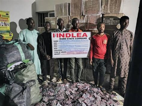 75 Year Old Grandpa Lady And 20 Others Arrested Over Tons Of Illicit