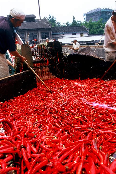 【读城】郫县豆瓣香史凤凰网