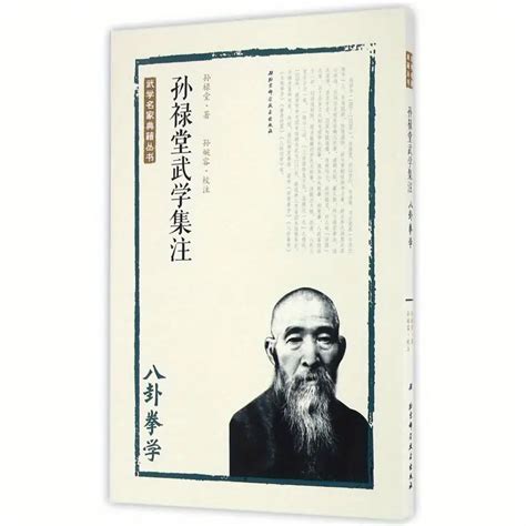 쑨루탕의 무술 노트 컬렉션 팔괘 권투유명 무술 대가 시리즈 중국어 버전 서적 Temu