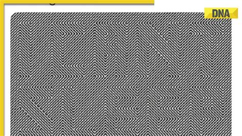 Can You Read The Hidden Message In This Optical Illusion