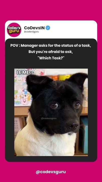 hilarious memes from the coding corporate world codingmemes shorts