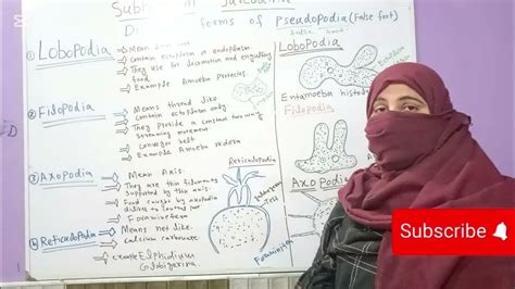 Different Froms Of Pseudopodia Youtube
