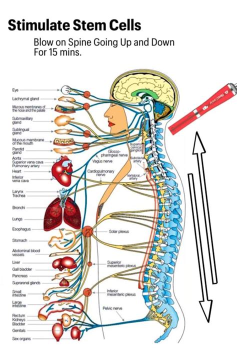 Iteracare Melbourne Victoria