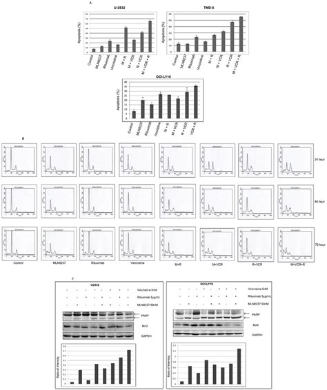 Alisertib Added To Vincristine Plus Rituximab Overcomes Cell Cycle