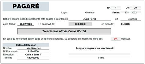 Ejemplo De Un Pagare Vacio