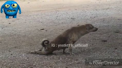 Aha zabıta geliyor YouTube