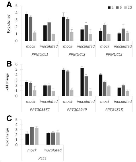 p parasitica gene expression patterns in response to i 1g6 gfp roots