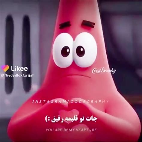 ویدیوی کیوت از باب اسفنجی و پاتریک