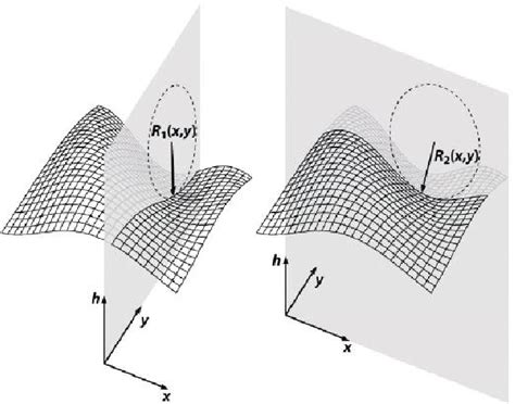 Figure 1 From Surface Analysis Of Realistic 3d Bile Canalicular Lumen