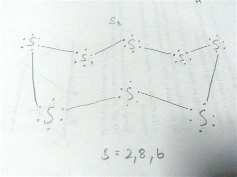 S8 Lewis Structure