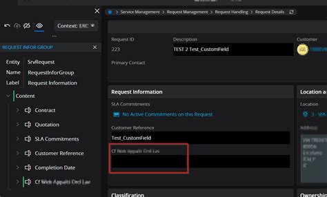 Custom Field In Entityvirtual Ifs Community