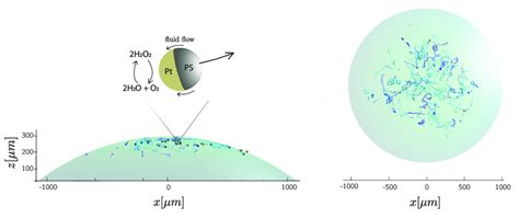 Active Janus Colloids In An Evaporating Sessile Droplet With 10
