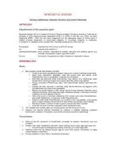 Classification Of The Causative Agent Classification Of The Causative Agent Pdf PDF4PRO