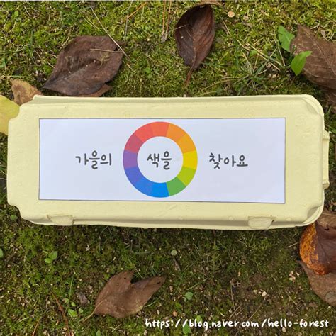 가을 자연물 놀이 엄마표 가을 숲놀이 숲체험 가을의 색을 찾아요 네이버 블로그