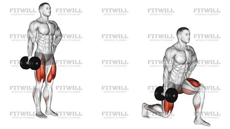 Dumbbell Contralateral Forward Lunge Exercise Guide Techniques Benefits How To Muscles