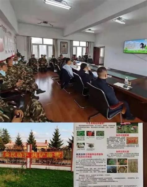 鹤岗市公安局和市林业和草原局携手推进“创建无毒林场”澎湃号·政务澎湃新闻 The Paper