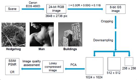 Image Processing Workflow Download Scientific Diagram