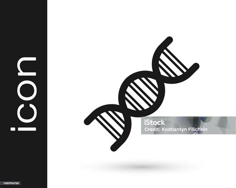 흰색 배경에 격리 된 검은 Dna 기호 아이콘 벡터 Dna에 대한 스톡 벡터 아트 및 기타 이미지 Dna 개념 건강관리와 의술 Istock