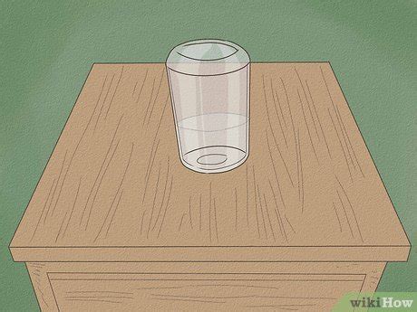 How To Get Started Beekeeping With Pictures WikiHow Pet