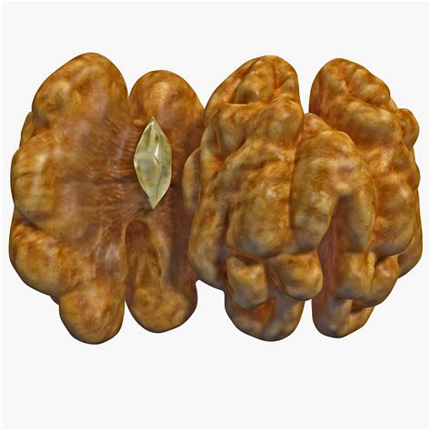 Walnut Kernel Nut 3d Model