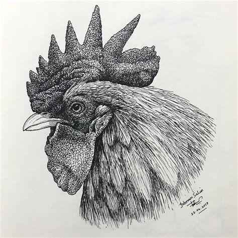 Rooster Booster Pen Sketch Behance
