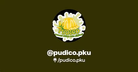 Pudico Pku Instagram Tiktok Linktree