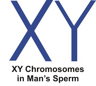 Chromosomes And Baby Sex Determination