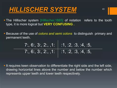 Tooth Numbering System Pptx