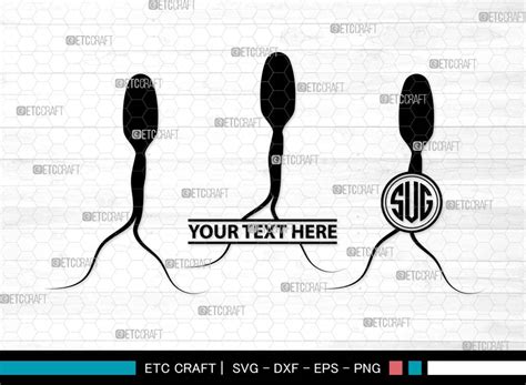 Sperm Monogram Sperm Silhouette Sperm Svg Male Anatomy Svg Semen