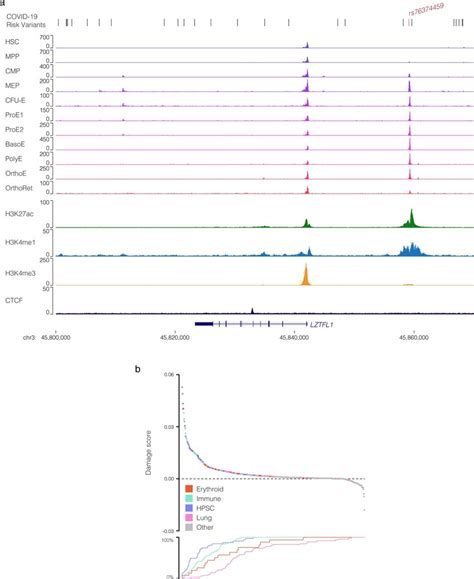 Rs76374459 Is Likely Benign In An Erythroid Enhancer Atac Seq From