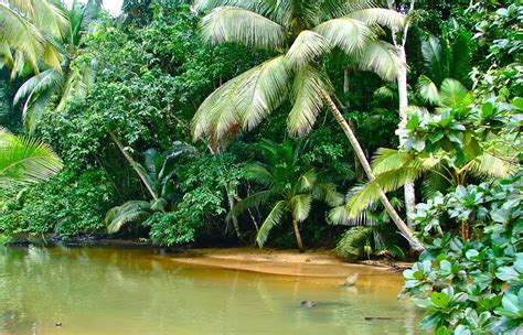 Остров Принсипи Сан Томе и Принсипи — подробная информация с фото